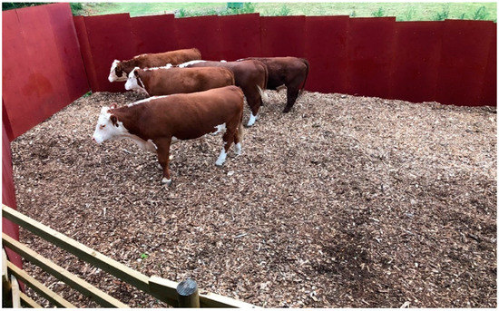 Animals | Free Full-Text | Animal Welfare and Food Safety When ...