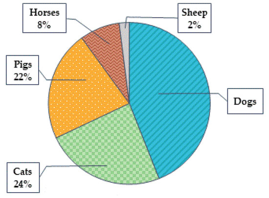 Animals | Free Full-Text | Personalized Strategy for Animal-Assisted ...
