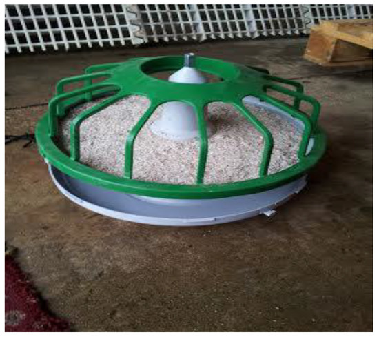 The Effect of Hard Pecking Enrichment during Rear on Feather Cover ...