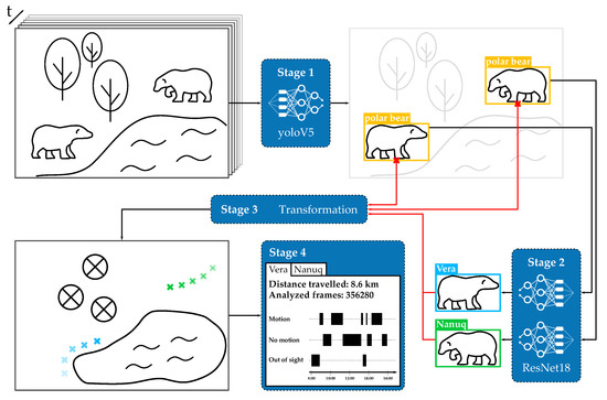 Animals | Free Full-Text | Automated Video-Based Analysis Framework for ...