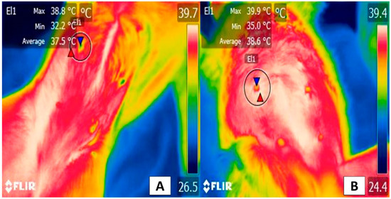 Thermal and Circulatory Changes in Diverse Body Regions in Dogs and ...