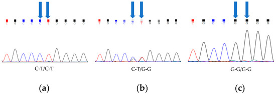 Development and Application of a High-Resolution Melting Analysis with ...