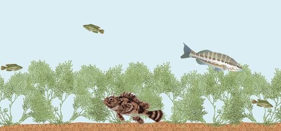 Animals | Free Full-Text | Adaptive Vertical Positioning as Anti ...