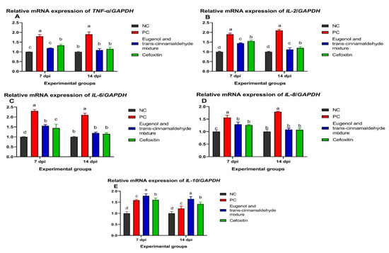 Animals | An Open Access Journal from MDPI