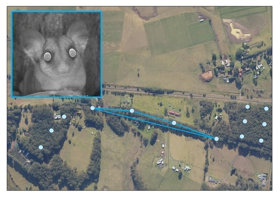 Animals | An Open Access Journal from MDPI