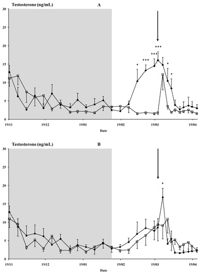 Can Dogs Sense Testosterone