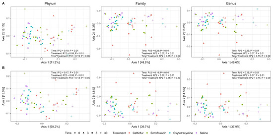 Animals | Free Full-Text | Effects of Intravenous Antimicrobial Drugs ...