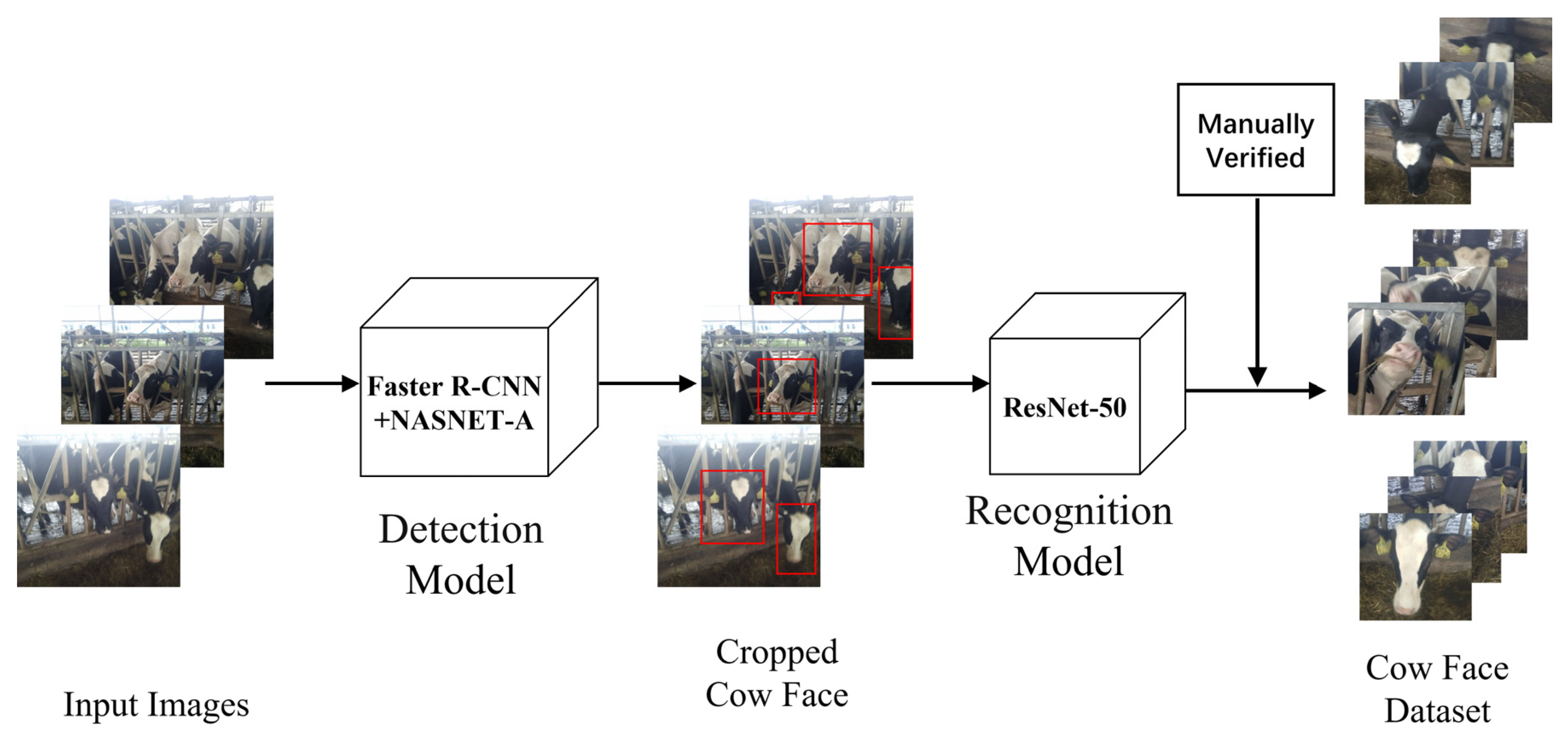 Holstein Cattle Face Re-Identification Unifying Global and Part Feature ...