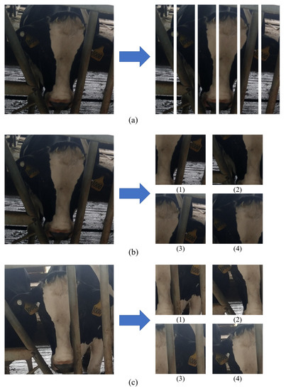 Holstein Cattle Face Re-Identification Unifying Global and Part Feature ...