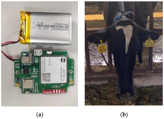 Classification and Analysis of Multiple Cattle Unitary Behaviors and ...
