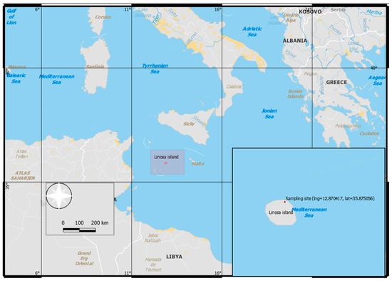 Animals | Free Full-Text | Fatty Acids Composition of Stomach Oil of ...