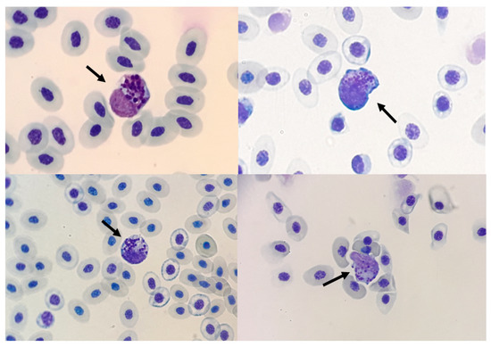 Physiological Changes in Chicken Embryos Inoculated with Drugs and ...