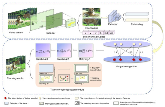 Multiobject Tracking of Wildlife in Videos Using Few-Shot Learning