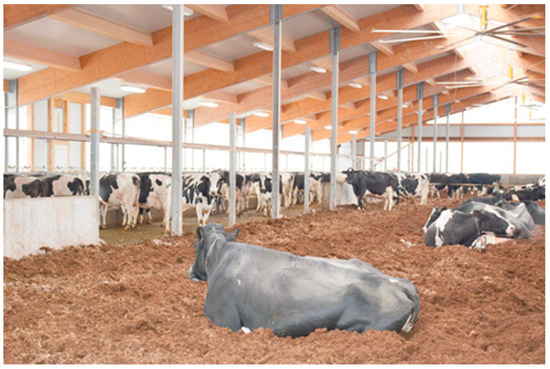 Views of Consumers, Farmers and Stakeholders on Alternative Dairy ...