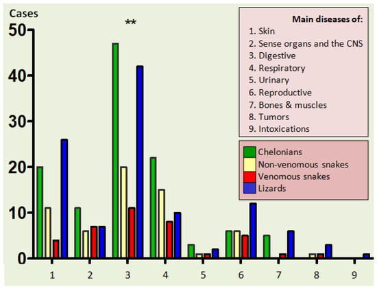 Animals | Free Full-Text | Pathology and Prevalence of Antibiotic ...