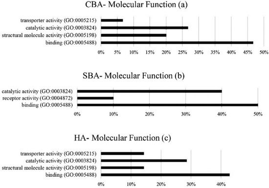 Constraint-Based, Score-Based and Hybrid Algorithms to Construct ...