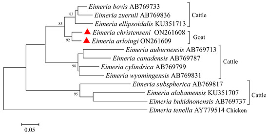 Molecular Characterization of 18S rDNA, ITS-1, ITS-2, and COI from Eimeria christenseni and E ...