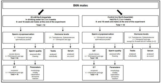 Oral D-Aspartate Treatment Improves Sperm Fertility in Both Young and ...
