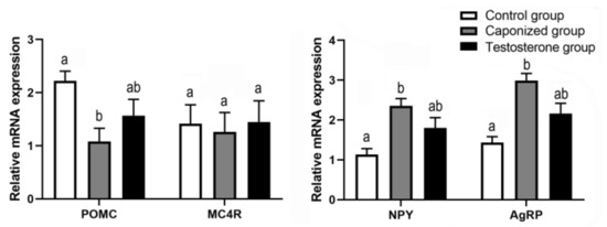 Animals | Free Full-Text | Effects of Caponization on Growth ...
