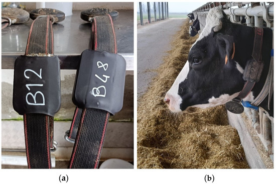 Development of a New Wearable 3D Sensor Node and Innovative Open ...