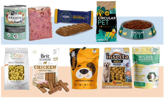 Insects as Feed for Companion and Exotic Pets: A Current Trend