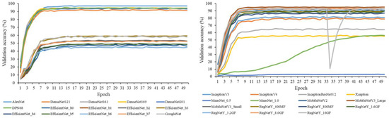 Individual Beef Cattle Identification Using Muzzle Images and Deep ...