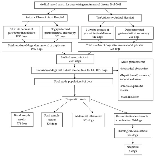 Chronic Enteropathy in Dogs—Epidemiologic Aspects and Clinical ...