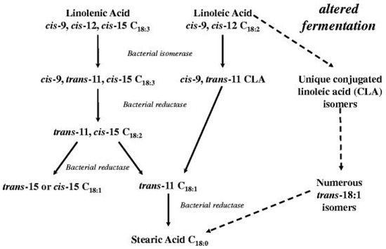 Fat Deposition and Fat Effects on Meat Quality—A Review