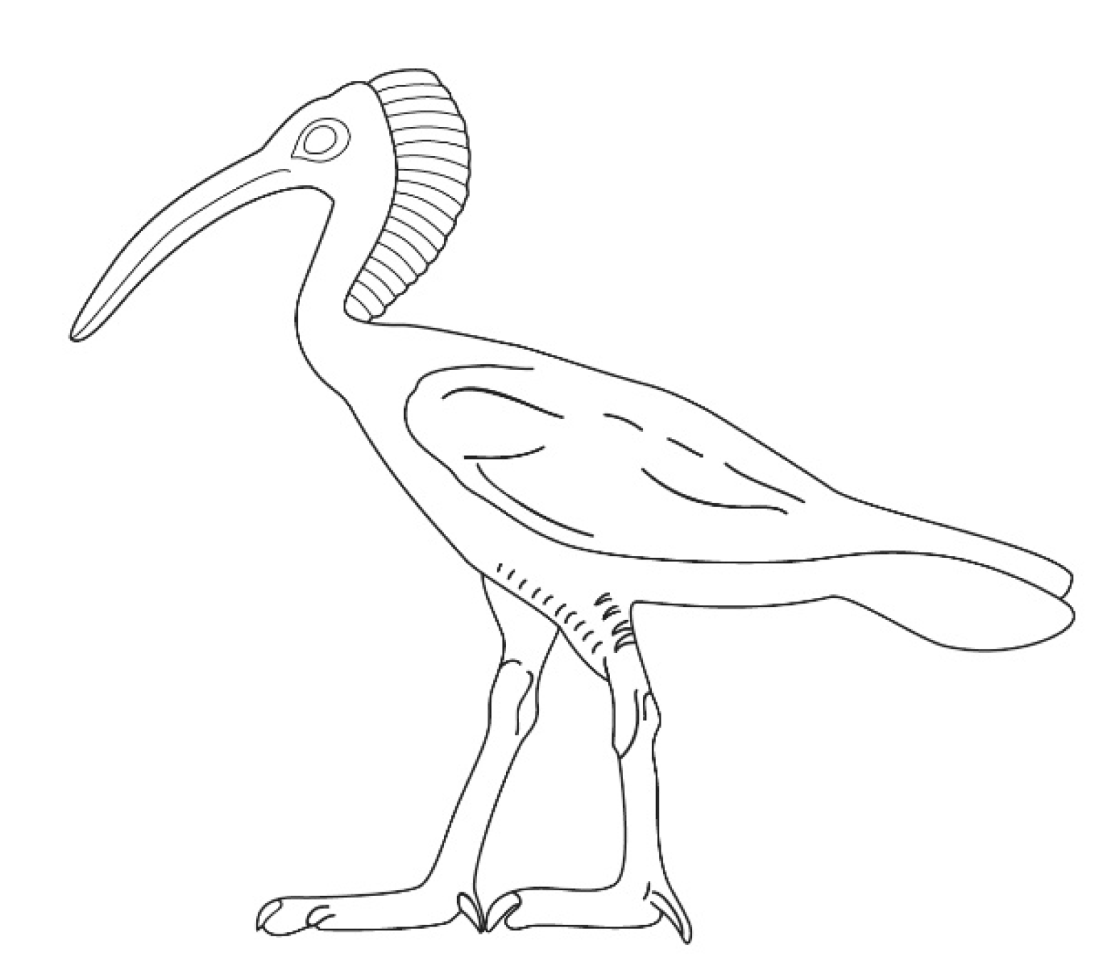 Tracing the Fate of the Northern Bald Ibis over Five Millennia: An ...