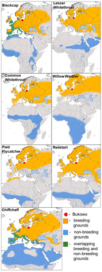 Animals | Free Full-Text | Large-Scale Climatic Patterns Have Stronger ...