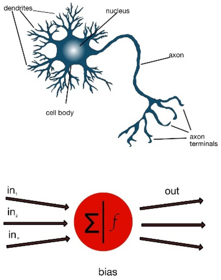 Development of an Artificial Neural Network for the Detection of ...