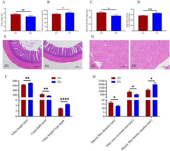 Animals | An Open Access Journal from MDPI