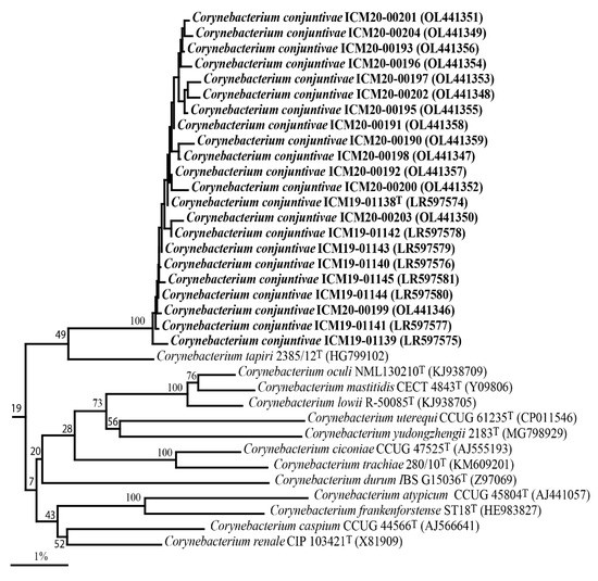 Animals | An Open Access Journal from MDPI