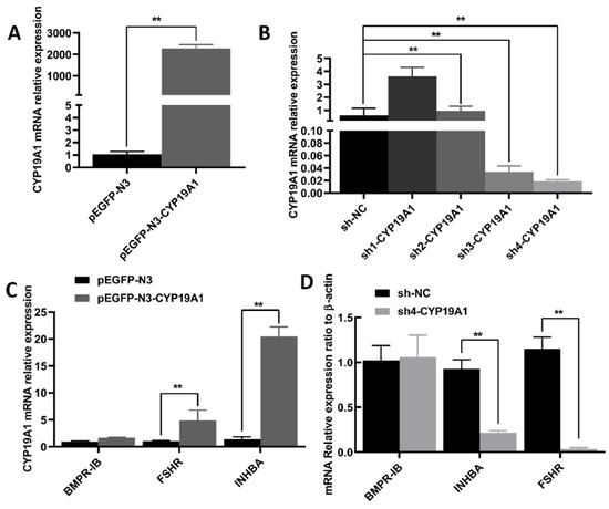 Animals | An Open Access Journal from MDPI