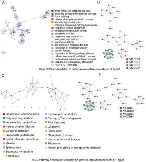 Animals | An Open Access Journal from MDPI