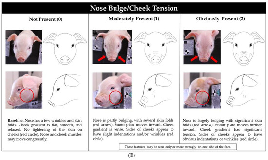 The Application of 3D Landmark-Based Geometric Morphometrics towards ...