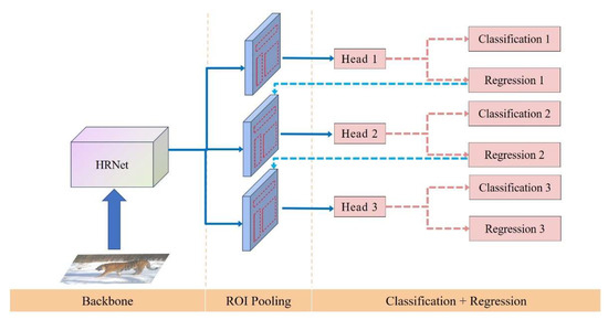 Animal Detection and Classification from Camera Trap Images Using ...