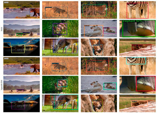 Animals | Free Full-Text | Contour-Based Wild Animal Instance Segmentation Using a Few-Shot Detector