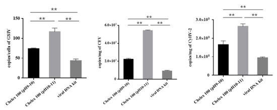 Rapid Nucleic Acid Extraction for Aquatic Animal DNA Virus ...