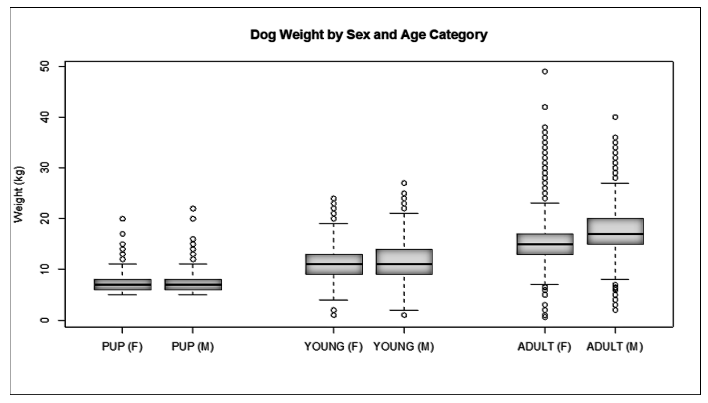 Animals | Free Full-Text | Technology for Improving Street Dog Welfare ...