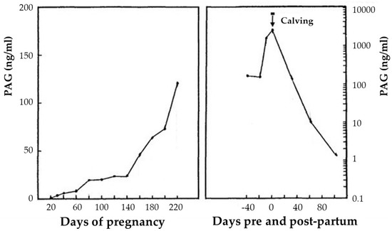 Using Pregnancy-Associated Glycoproteins (PAGs) to Improve Reproductive ...