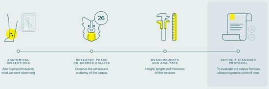 Animals | An Open Access Journal from MDPI
