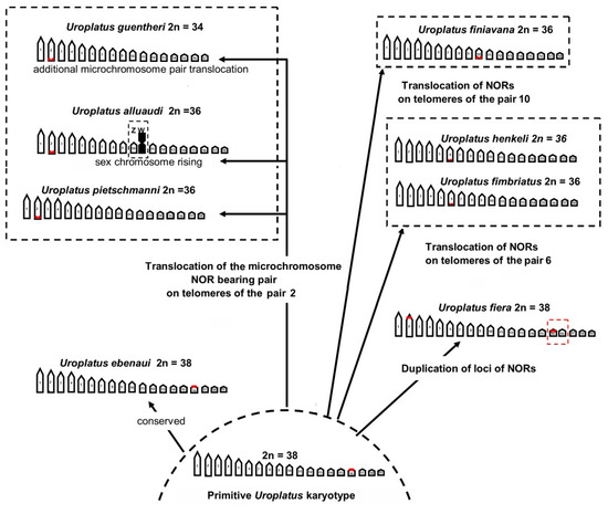 Animals | An Open Access Journal from MDPI