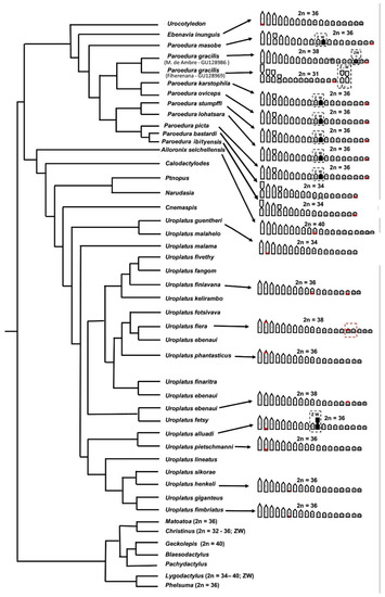 Animals | An Open Access Journal from MDPI