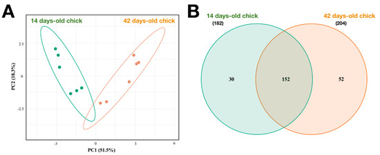 Animals | An Open Access Journal from MDPI