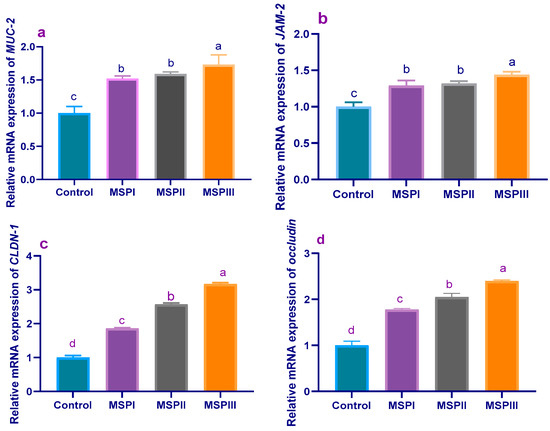 Animals | An Open Access Journal from MDPI