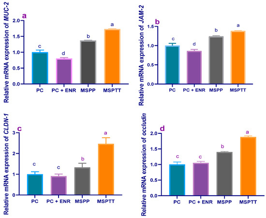 Animals | An Open Access Journal from MDPI