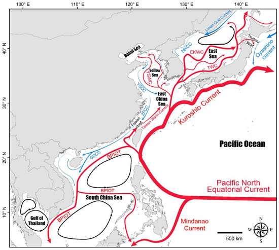 Animals | Free Full-Text | Movement Patterns of Juvenile Loggerhead ...