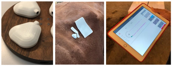 Animals | Free Full-Text | A Non-Invasive Sound Technology to Monitor ...