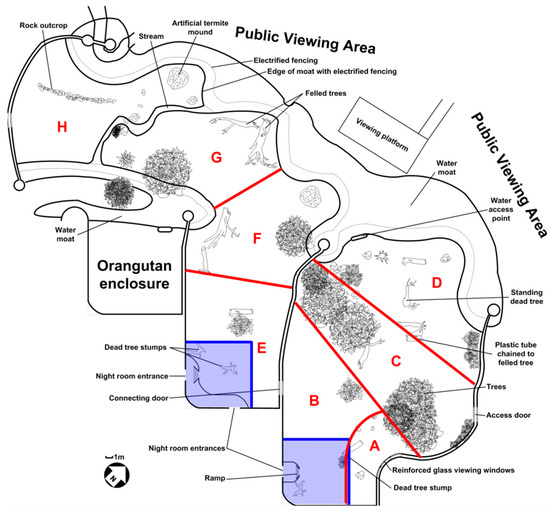 Long-Term Spatial Restriction Generates Deferred Limited Space Use in a ...
